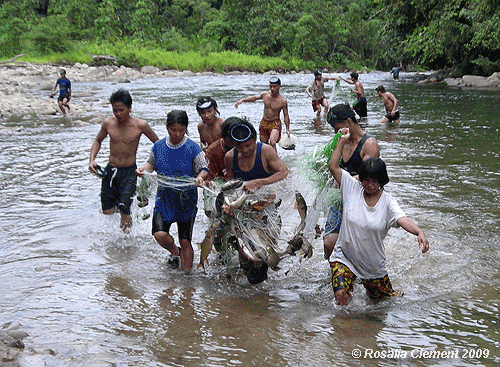 Feature by Herman Scholz - Tagal River Management in Sabah