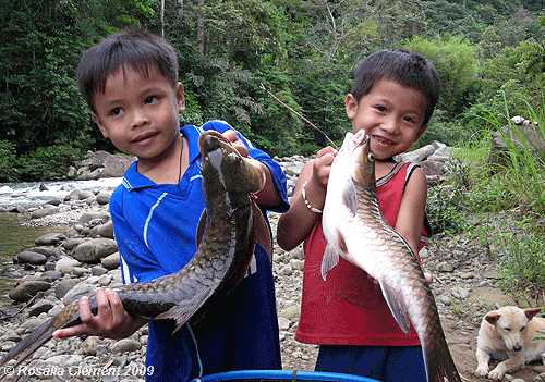 Feature by Herman Scholz - Tagal River Management in Sabah